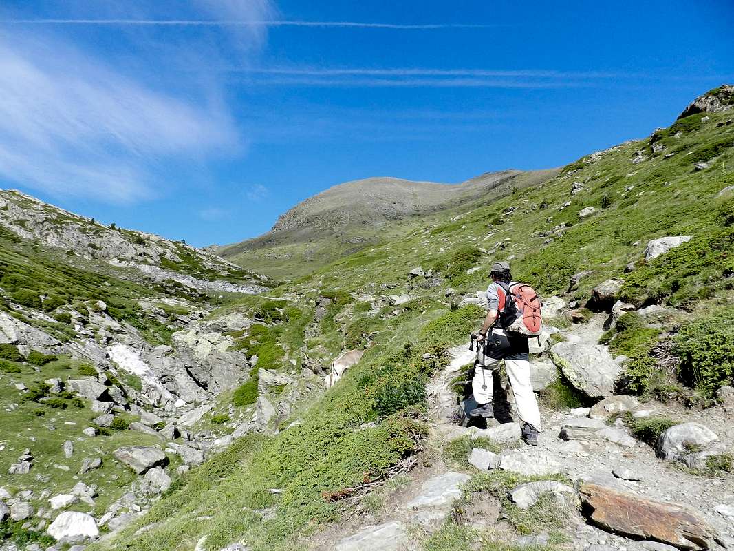 Entering the Coma de l' Embut : Photos, Diagrams & Topos : SummitPost