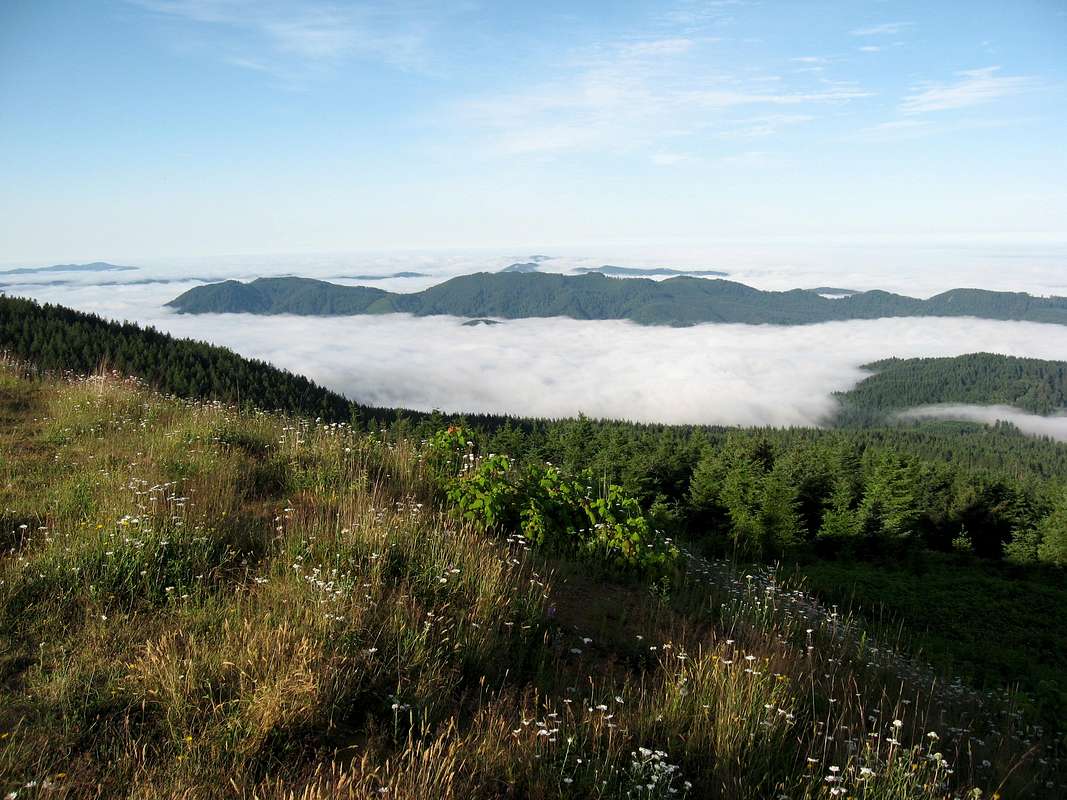 Above the clouds on Mt. Hebo : Photos, Diagrams & Topos : SummitPost