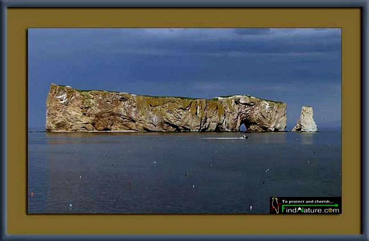 Rocher Percé : Photos, Diagrams & Topos : SummitPost