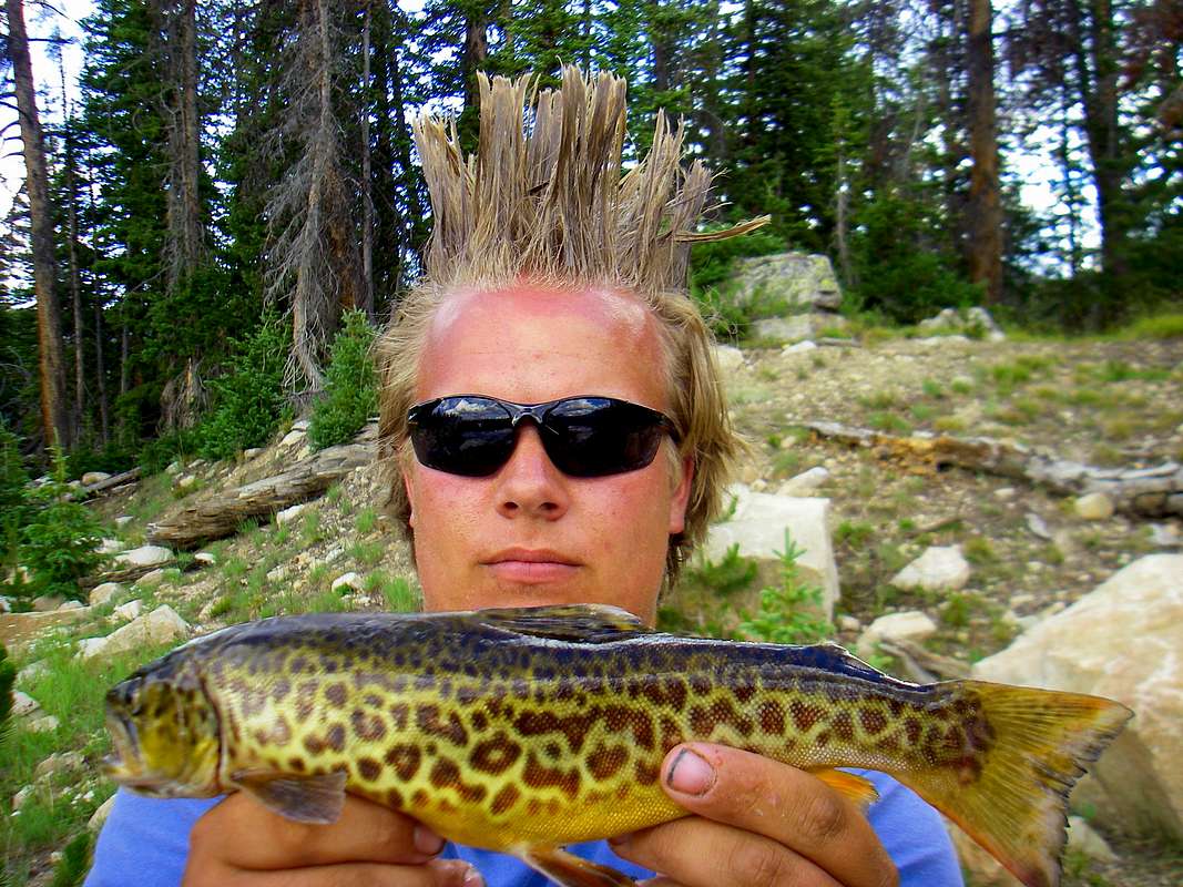 Tiger Trout : Photos, Diagrams & Topos : SummitPost
