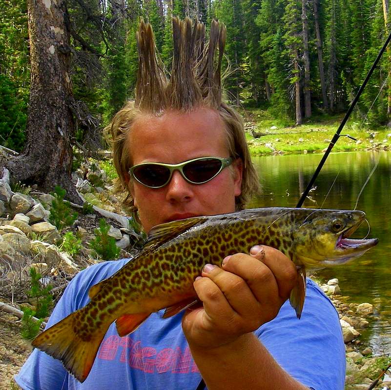 Tiger Trout : Photos, Diagrams & Topos : SummitPost