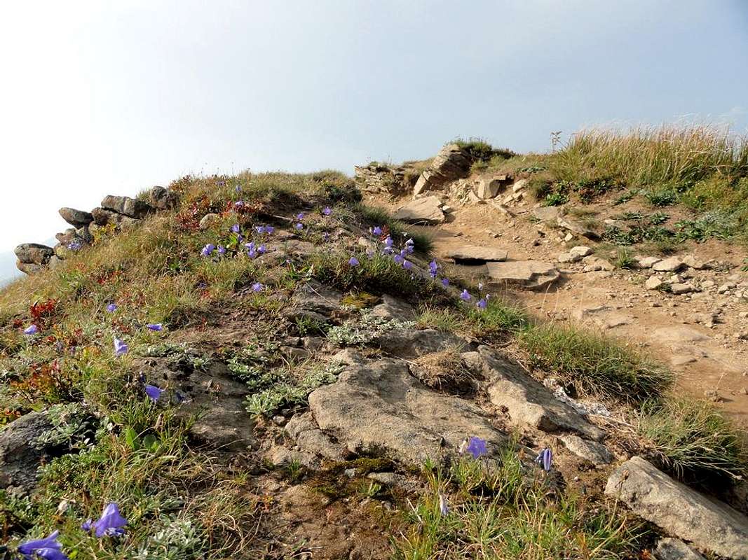 On the slope of Mount Bukowe Berdo ( 1312 m) : Photos, Diagrams & Topos ...
