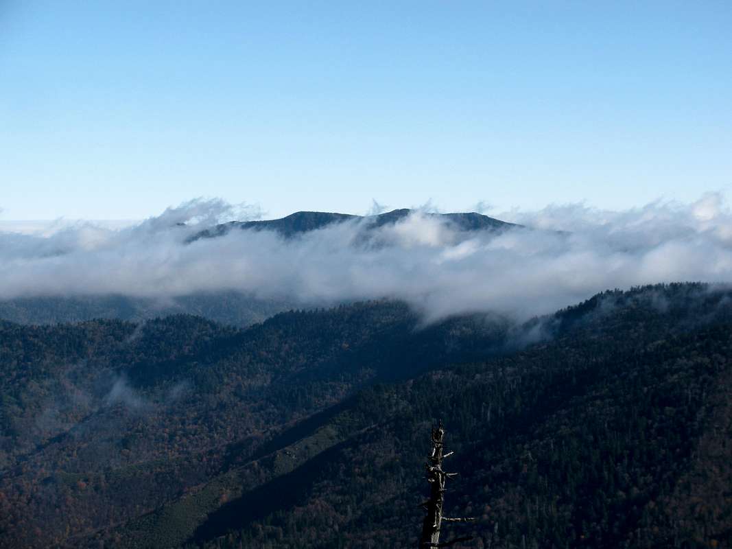 Mount LeConte : Photos, Diagrams & Topos : SummitPost