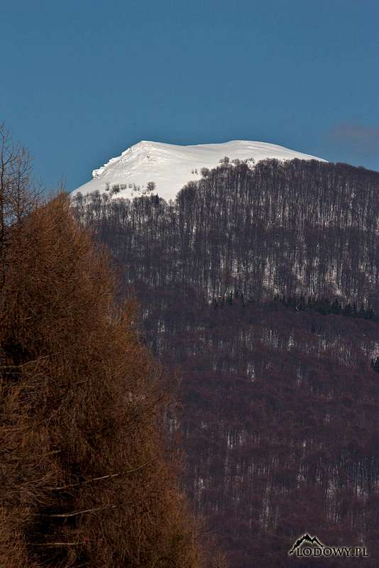 Hnatowe Berdo from Wetlina : Photos, Diagrams & Topos : SummitPost