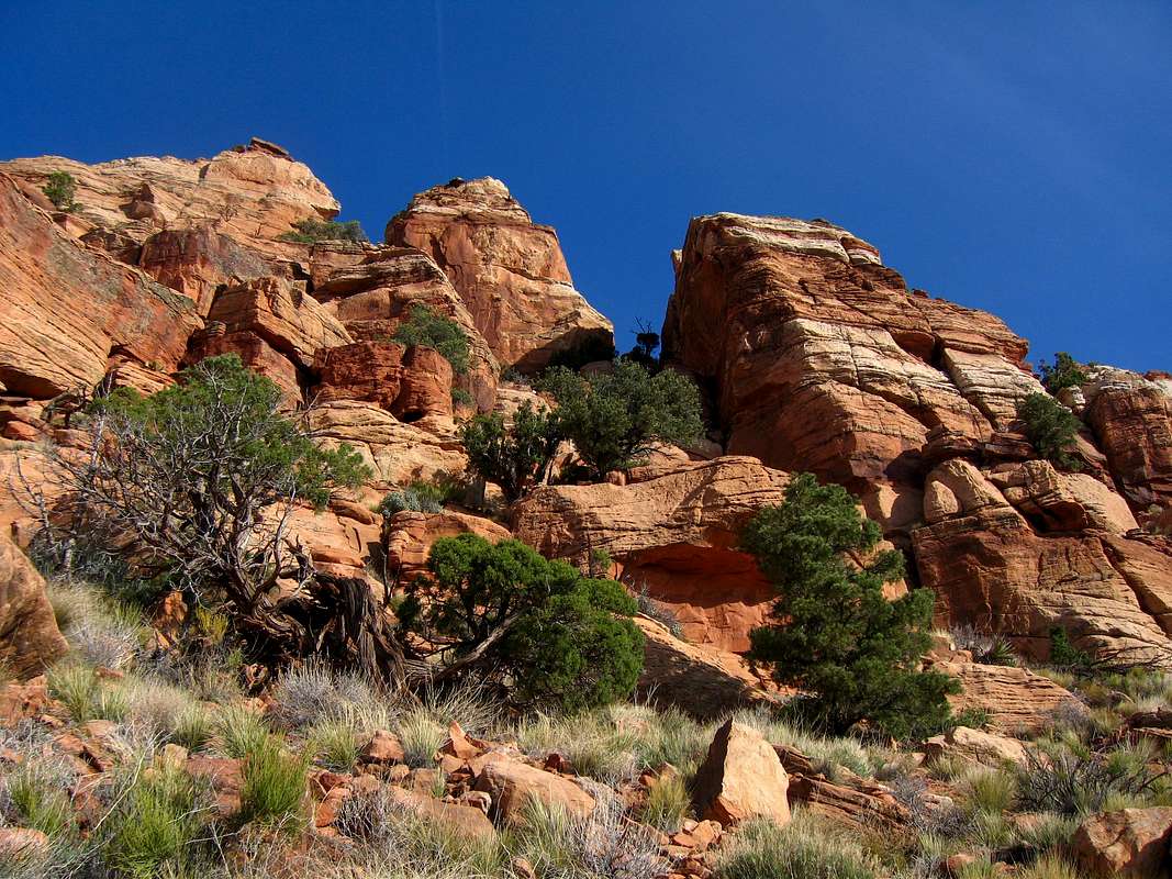 Cowboy Ridge : Photos, Diagrams & Topos : SummitPost