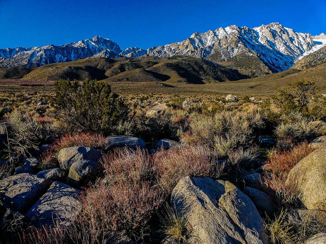 Mount Williamson and Mount Bradley : Photos, Diagrams & Topos : SummitPost