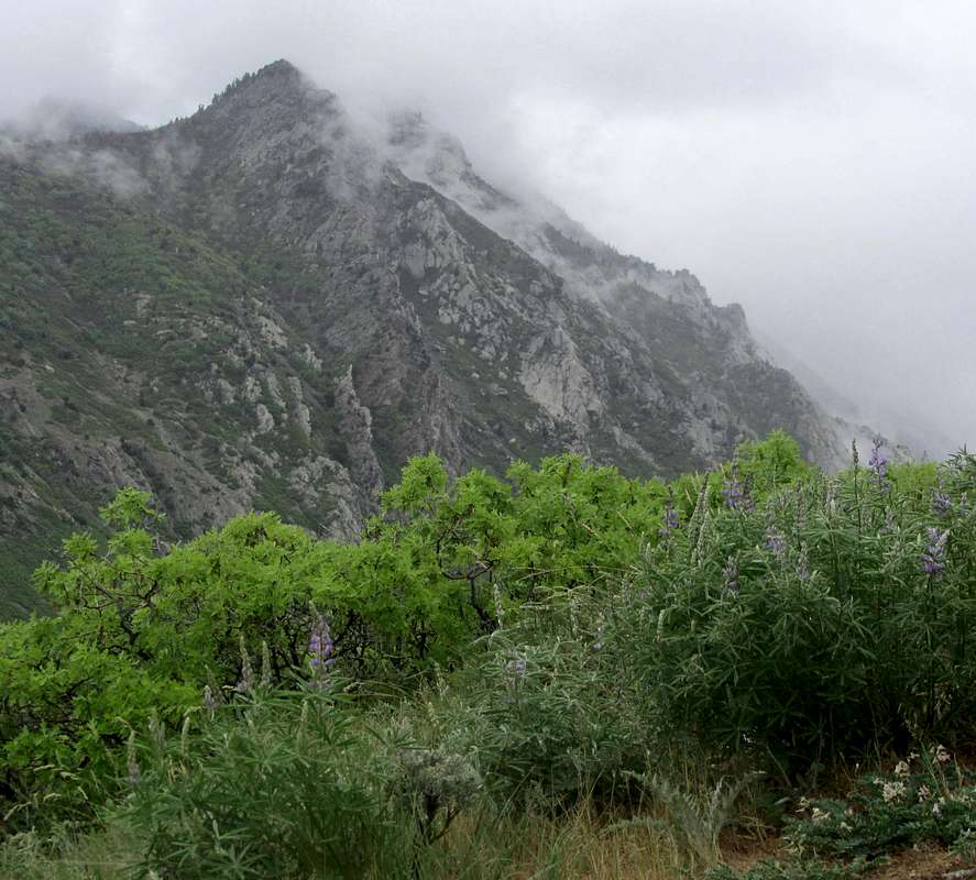 Bell Canyon Granite Trailhead views : Photos, Diagrams & Topos : SummitPost