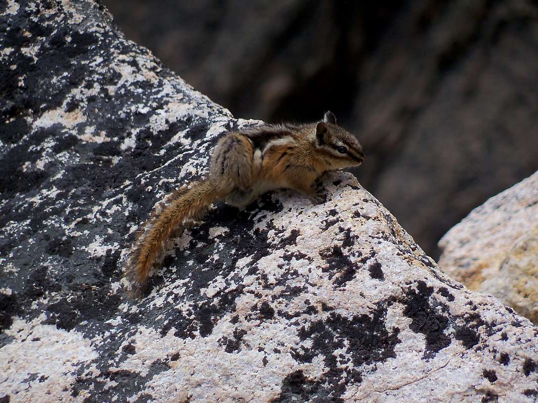 Beckey Route : Photos, Diagrams & Topos : SummitPost