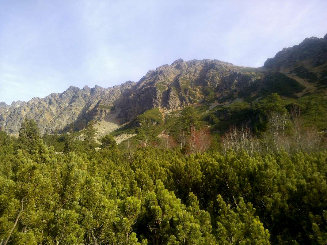 Subalpine Zone : Photos, Diagrams & Topos : SummitPost