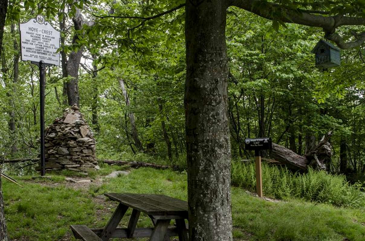 Hoye Crest on Backbone Mountain : Photos, Diagrams & Topos : SummitPost