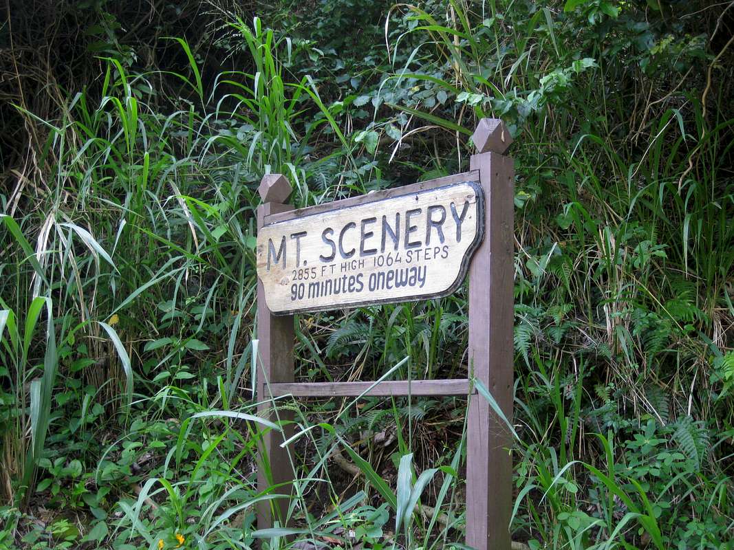 Mount Scenery : Photos, Diagrams & Topos : SummitPost