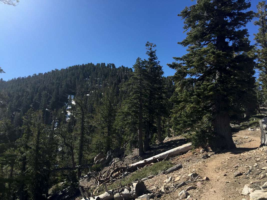 Throop Peak : Photos, Diagrams & Topos : SummitPost