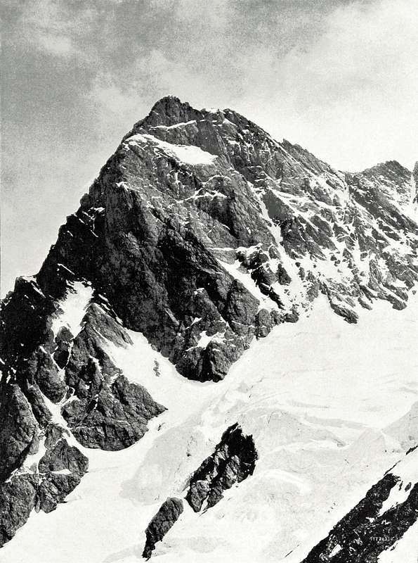 Schreckhorn : Photos, Diagrams & Topos : SummitPost