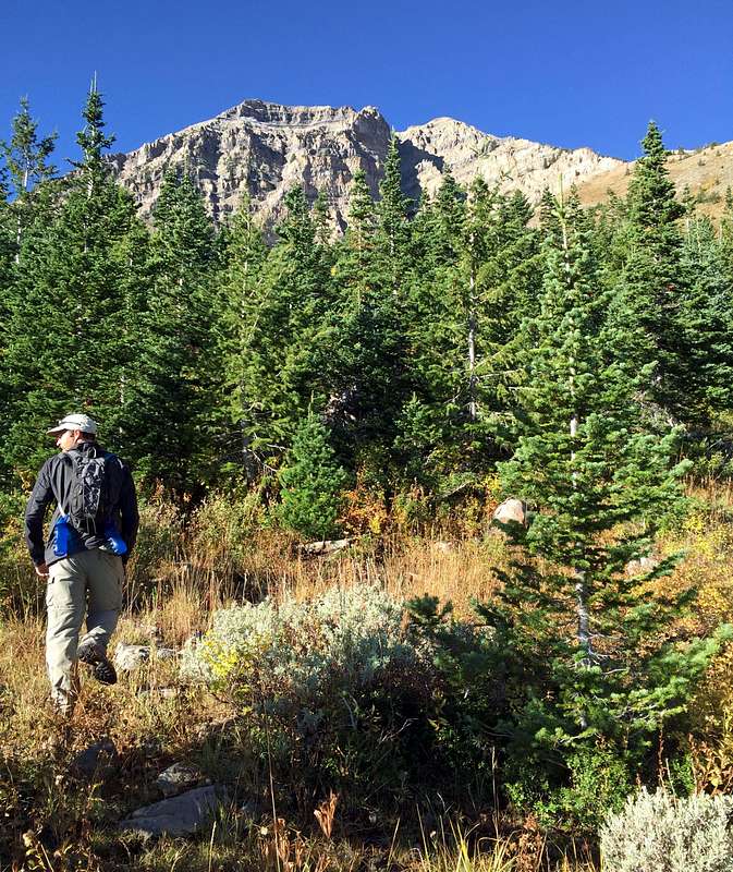 Easy bushwhacking : Photos, Diagrams & Topos : SummitPost