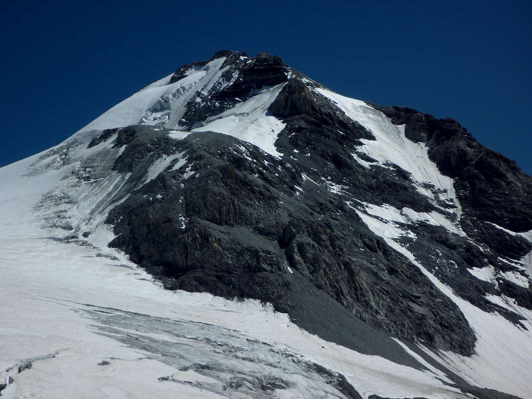 Monte Zebru Normal Route : Photos, Diagrams & Topos : SummitPost