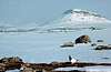 Halti : Climbing, Hiking & Mountaineering : SummitPost