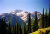 Ultra-prominence Peaks of the 48 States : Climbing, Hiking ...