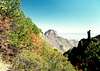 Emory Peak : Climbing, Hiking & Mountaineering : SummitPost