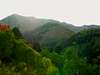 Y Mountain : Climbing, Hiking & Mountaineering : SummitPost