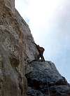 Upper Exum Ridge : Climbing, Hiking & Mountaineering : SummitPost