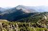 Mount Mitchell : Climbing, Hiking & Mountaineering : SummitPost