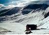 Mount Democrat : Climbing, Hiking & Mountaineering : SummitPost