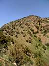Mount Morrison : Climbing, Hiking & Mountaineering : SummitPost
