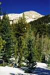 Mount Yale : Climbing, Hiking & Mountaineering : SummitPost
