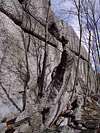 Boxcar Rocks (Chinese Wall) : Climbing, Hiking & Mountaineering ...