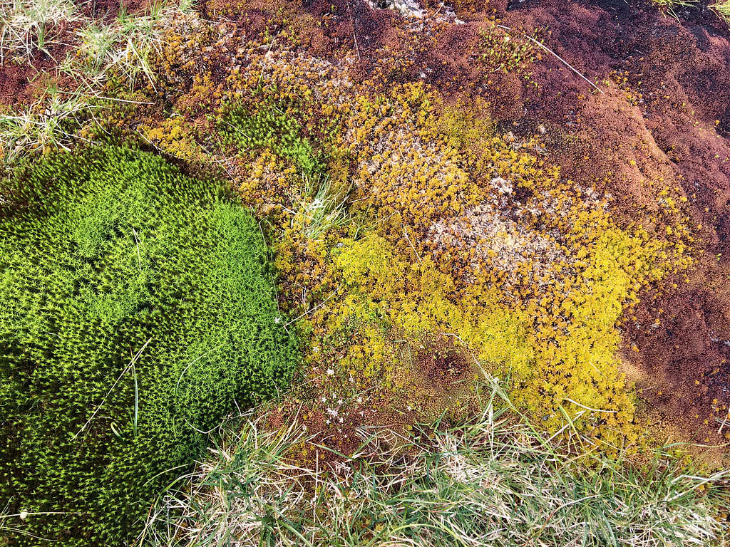 The Monadhliath Mountains : Climbing, Hiking & Mountaineering : SummitPost