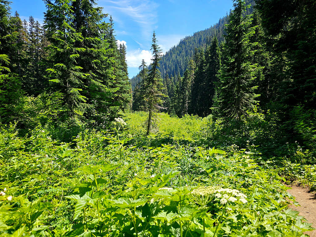 On Rachel Lake Trail : Photos, Diagrams & Topos : SummitPost