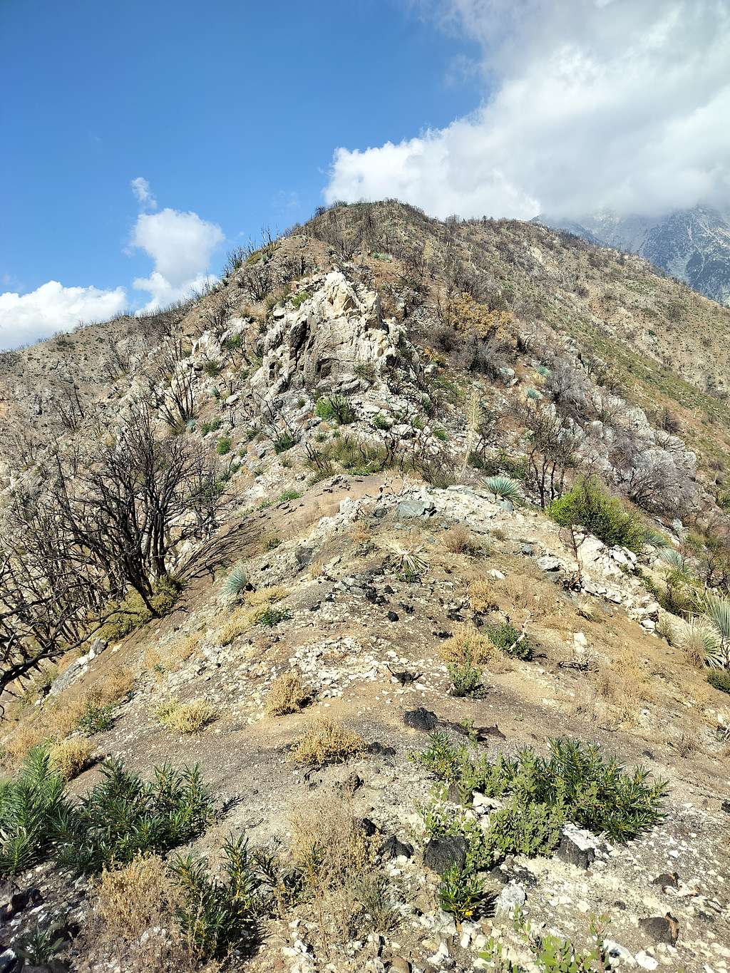 Rock Tower on Big Horn Ridge - passed on right. Sept 2025. : Photos ...