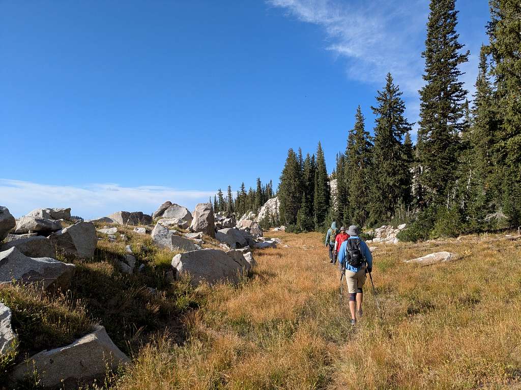 Following Trees and Creek Bed On Opposite Side of Ridge Before Upper ...