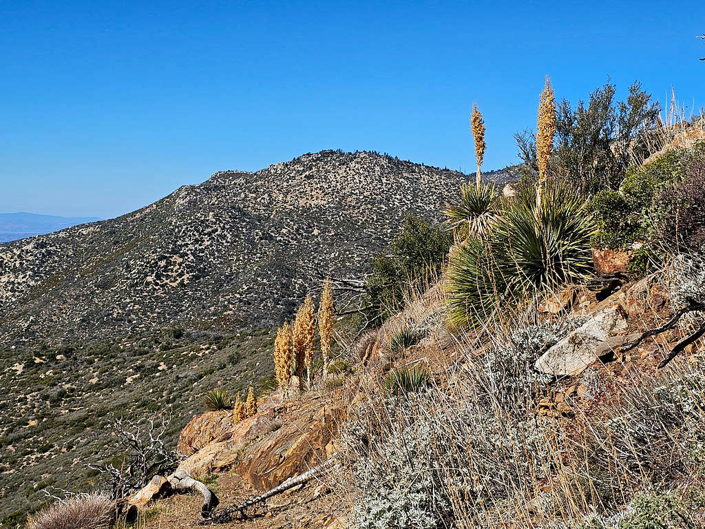 On Apache Peak Trail : Photos, Diagrams & Topos : SummitPost