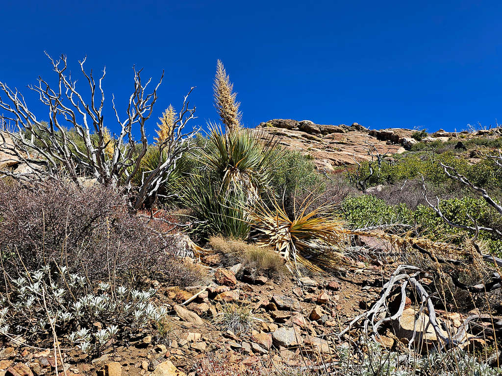On Apache Peak Trail : Photos, Diagrams & Topos : SummitPost