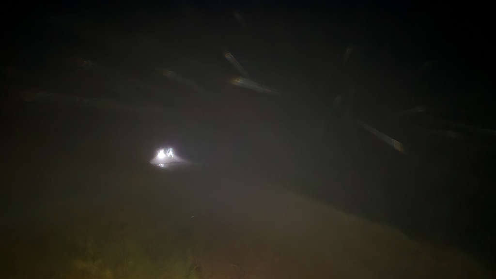 Hikers ascending the Pen Y Fan Normal Route before dawn : Photos ...