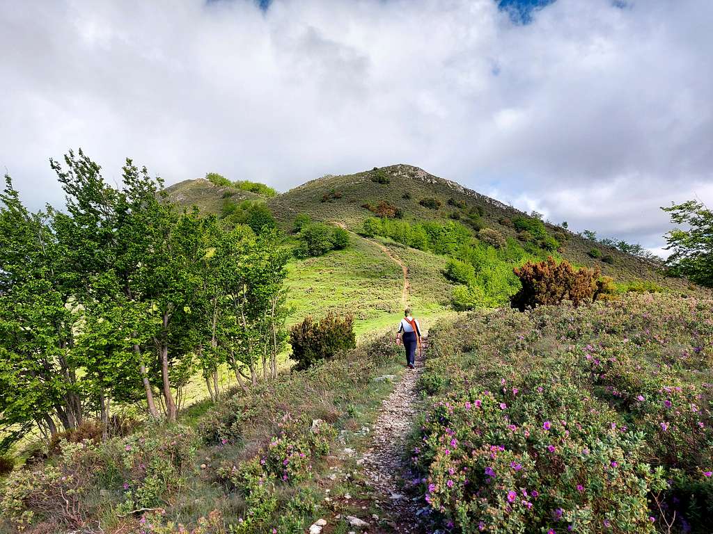 Monte Acuto summit prairies : Photos, Diagrams & Topos : SummitPost