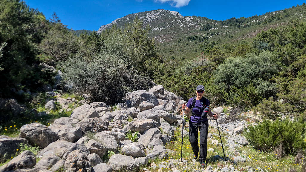 Exiting the ravine of the East Face route : Photos, Diagrams & Topos ...