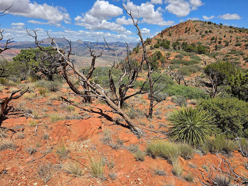 Square Top Mountain and Jackson Peak : Photos, Diagrams & Topos ...