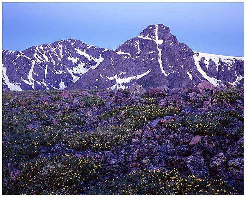 Mount of the Holy Cross June 2007 : Photos, Diagrams & Topos : SummitPost
