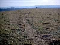 Max Patch : Climbing, Hiking & Mountaineering : SummitPost