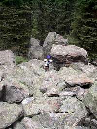 Holy Cross, Mount of the : Climbing, Hiking & Mountaineering : SummitPost