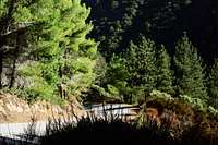 Switzer's Picnic Area : Trailhead Information : SummitPost