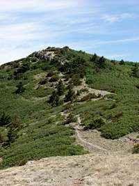 Sandia Crest Trail : Climbing, Hiking & Mountaineering : SummitPost