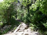 Mill B South (Lake Blanche) : Trailhead Information : SummitPost