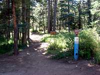 Tree Springs Trail : Climbing, Hiking & Mountaineering : SummitPost