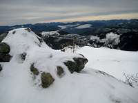 Mt Landale : Climbing, Hiking & Mountaineering : SummitPost