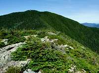 Mount Carrigain : Climbing, Hiking & Mountaineering : SummitPost