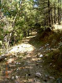 Nebraska's Pine Ridge : Climbing, Hiking & Mountaineering : SummitPost