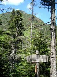 Great Gulf Trail : Climbing, Hiking & Mountaineering : SummitPost